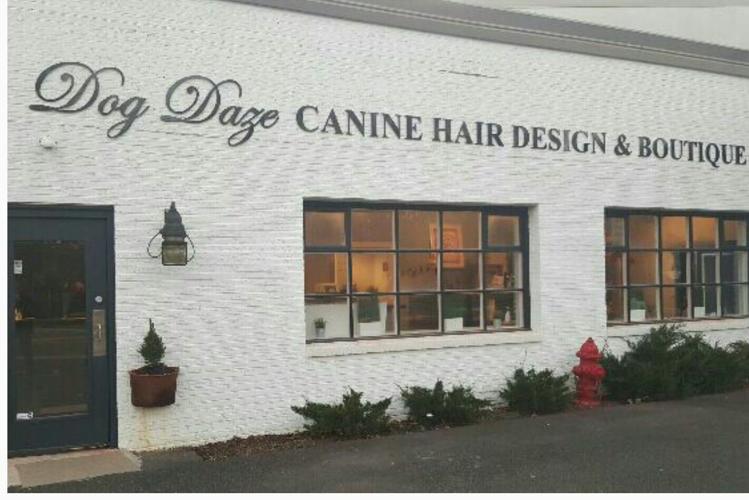 For canine salon owner, caring for animals comes naturally | It's a ...