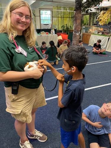Summer camps cater to wide range of interests | Bucks Family Magazine ...
