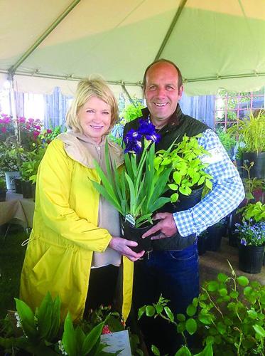 Trade-only Nockamixon nursey goes public Saturday for Hellebore ...