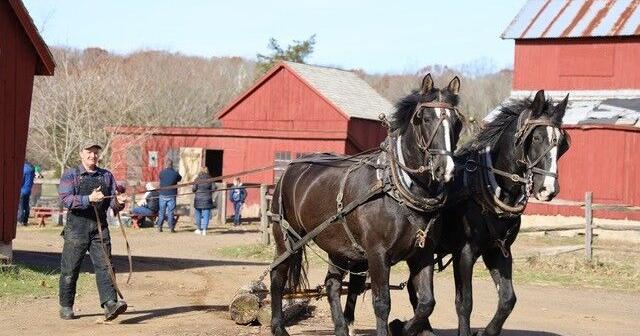 On Bucks County farms, there's no hibernating in winter | Bucks Family ...