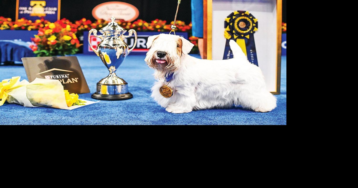 National Dog Show tickets on sale now | Pets | buckscountyherald.com