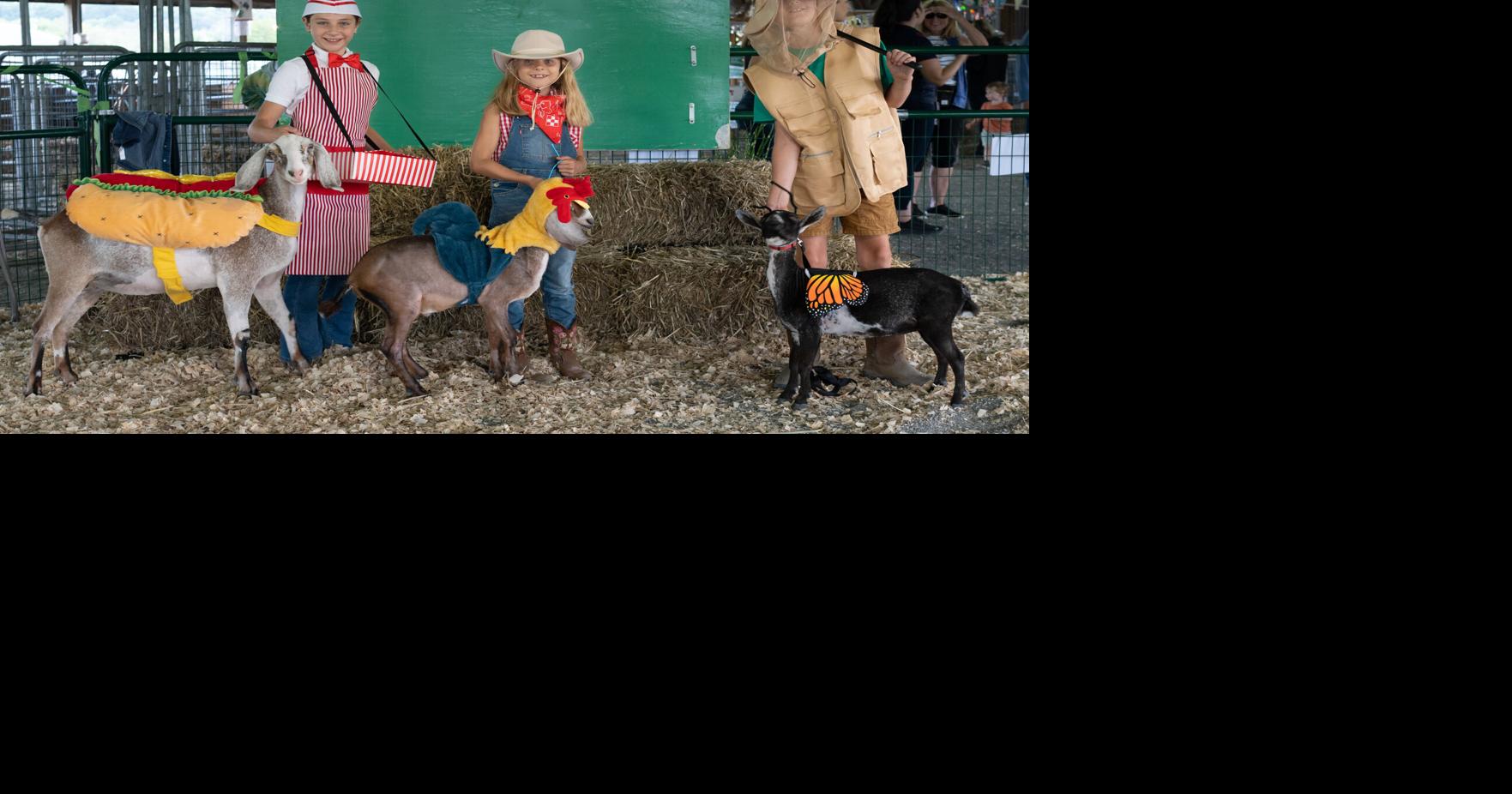 Summer fun abounds at Hunterdon County 4-H and Agricultural Fair ...