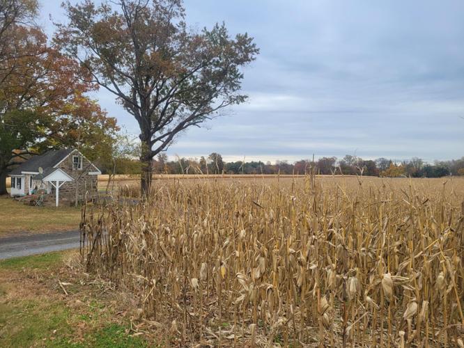 Lower Makefield mounts push to get Patterson Farm on historic places ...