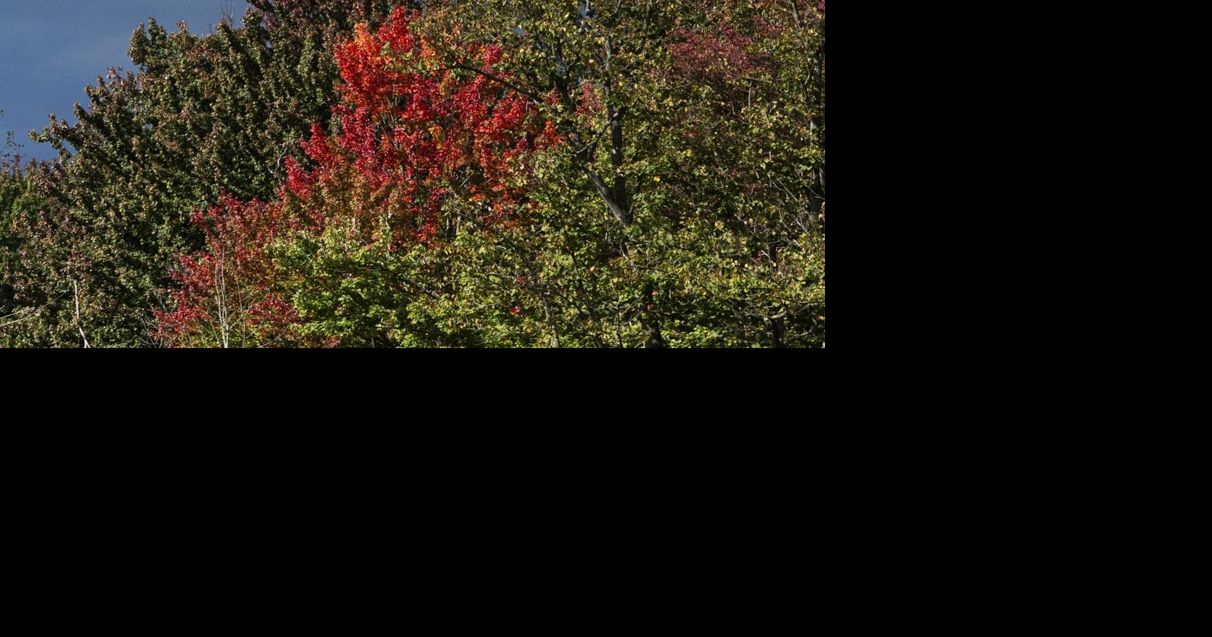 Fall flurries in forecast for Western New York