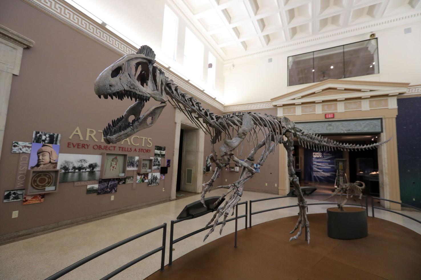 Photos: 'Antarctic Dinosaurs' exhibit at the Buffalo Museum of Science