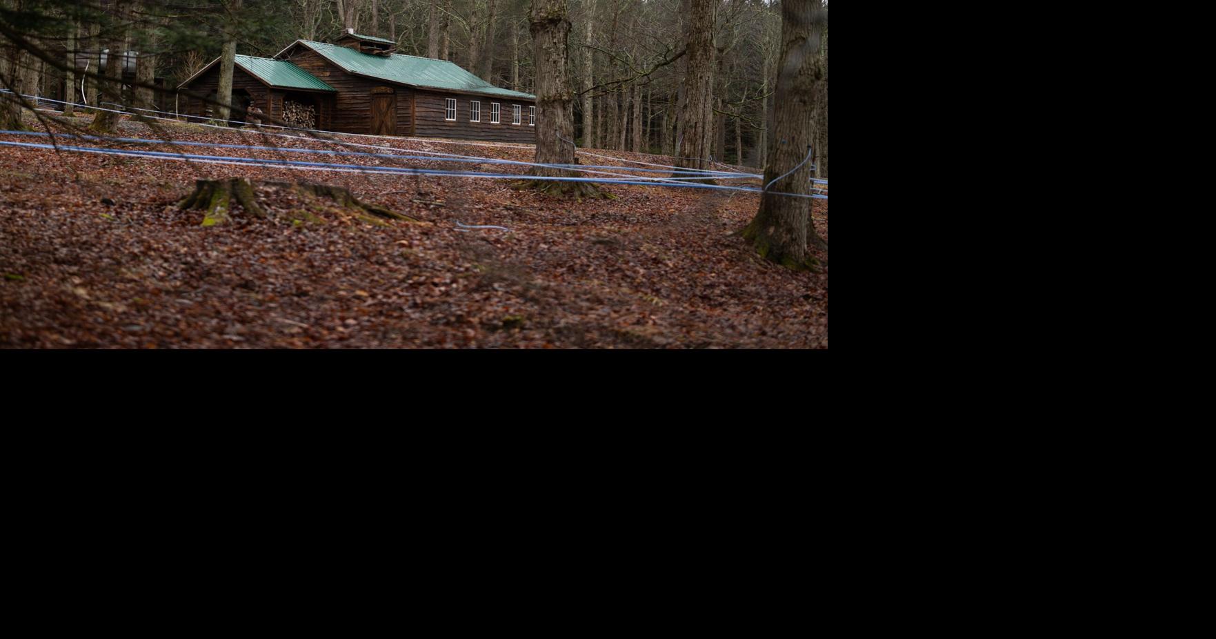 Photos: Sprague's Maple Farms