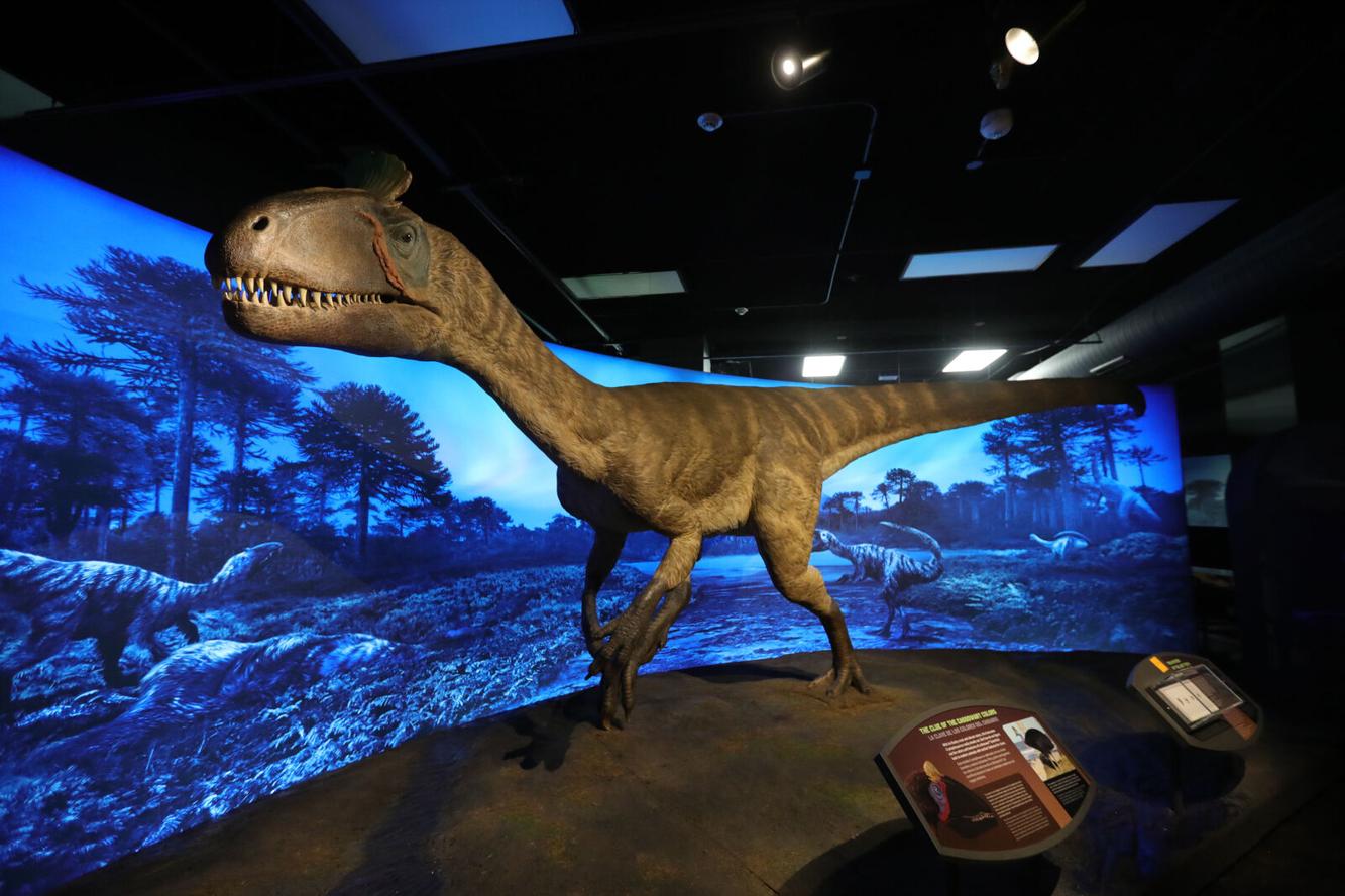 Photos: 'Antarctic Dinosaurs' exhibit at the Buffalo Museum of Science