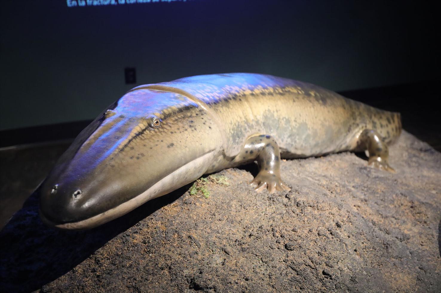 'Antarctic Dinosaurs' reveals what's hidden under frozen tundra