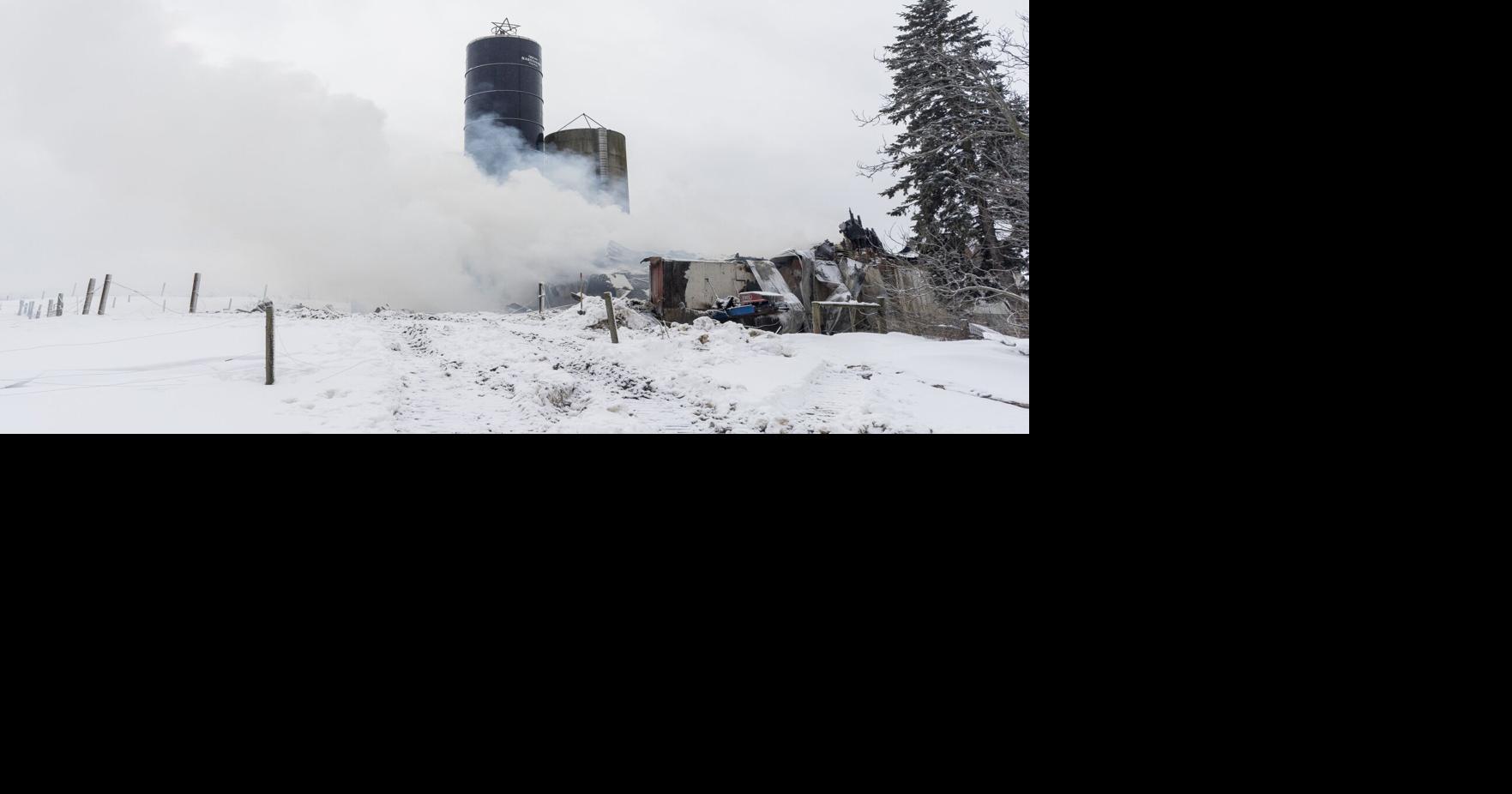 Photos: Aftermath of a 'devastating' barn fire at South Wales organic ...