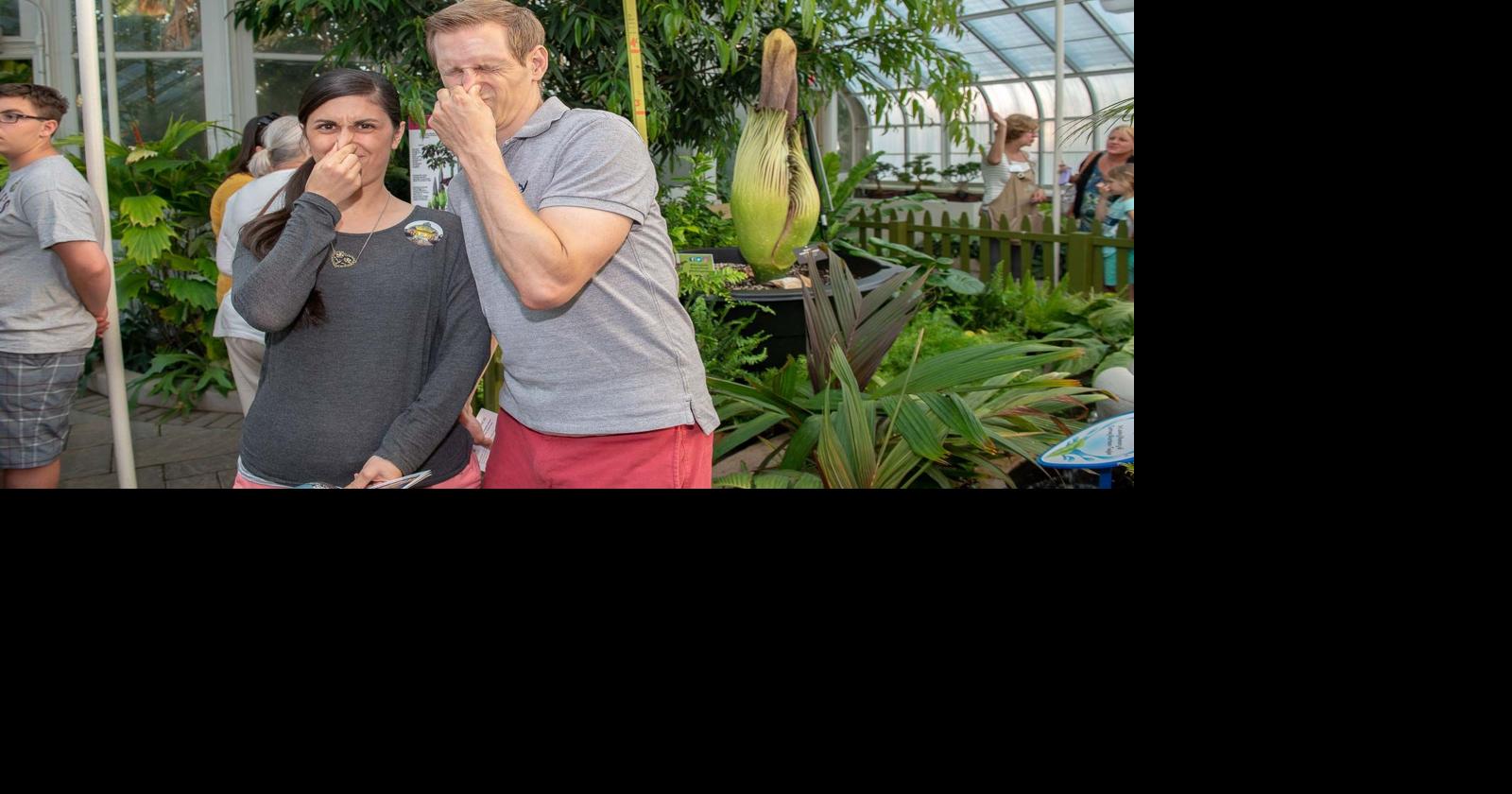 Cringes with Morty the corpse flower