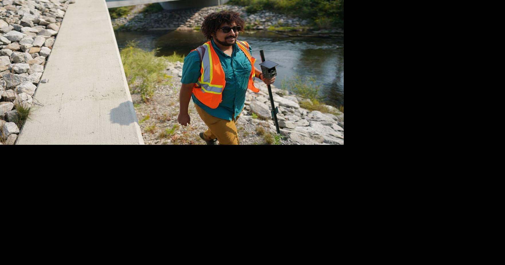 Legislation aims to better reduce car-animal collisions