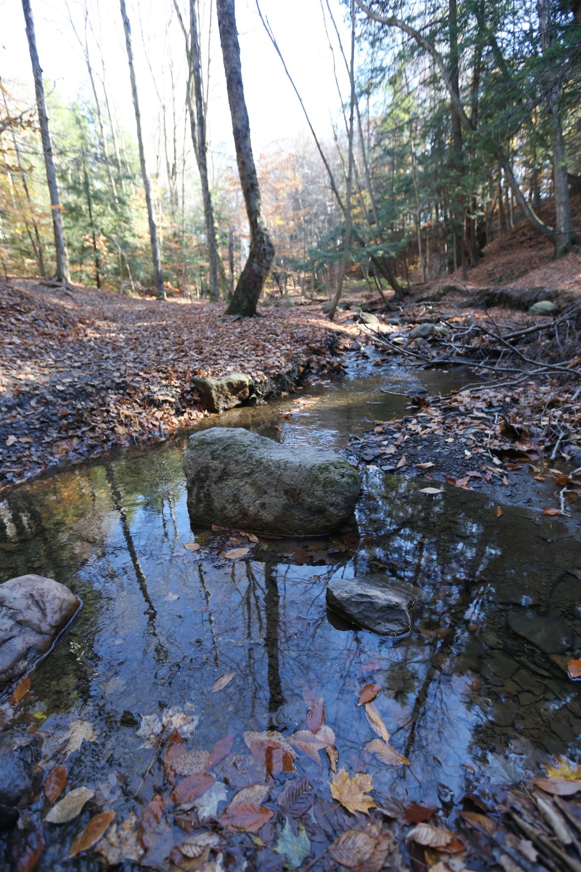 100 things: Visit the Eternal Flame at Chestnut Ridge Park | Multimedia ...