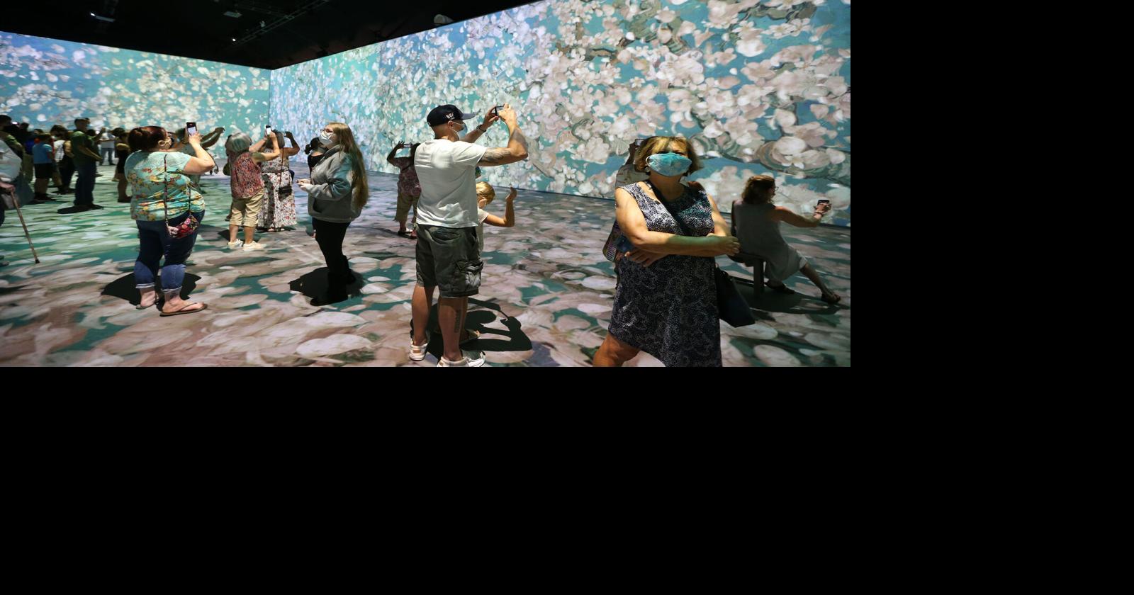 At 'Beyond Van Gogh,' a multimedia experience takes viewers inside the art