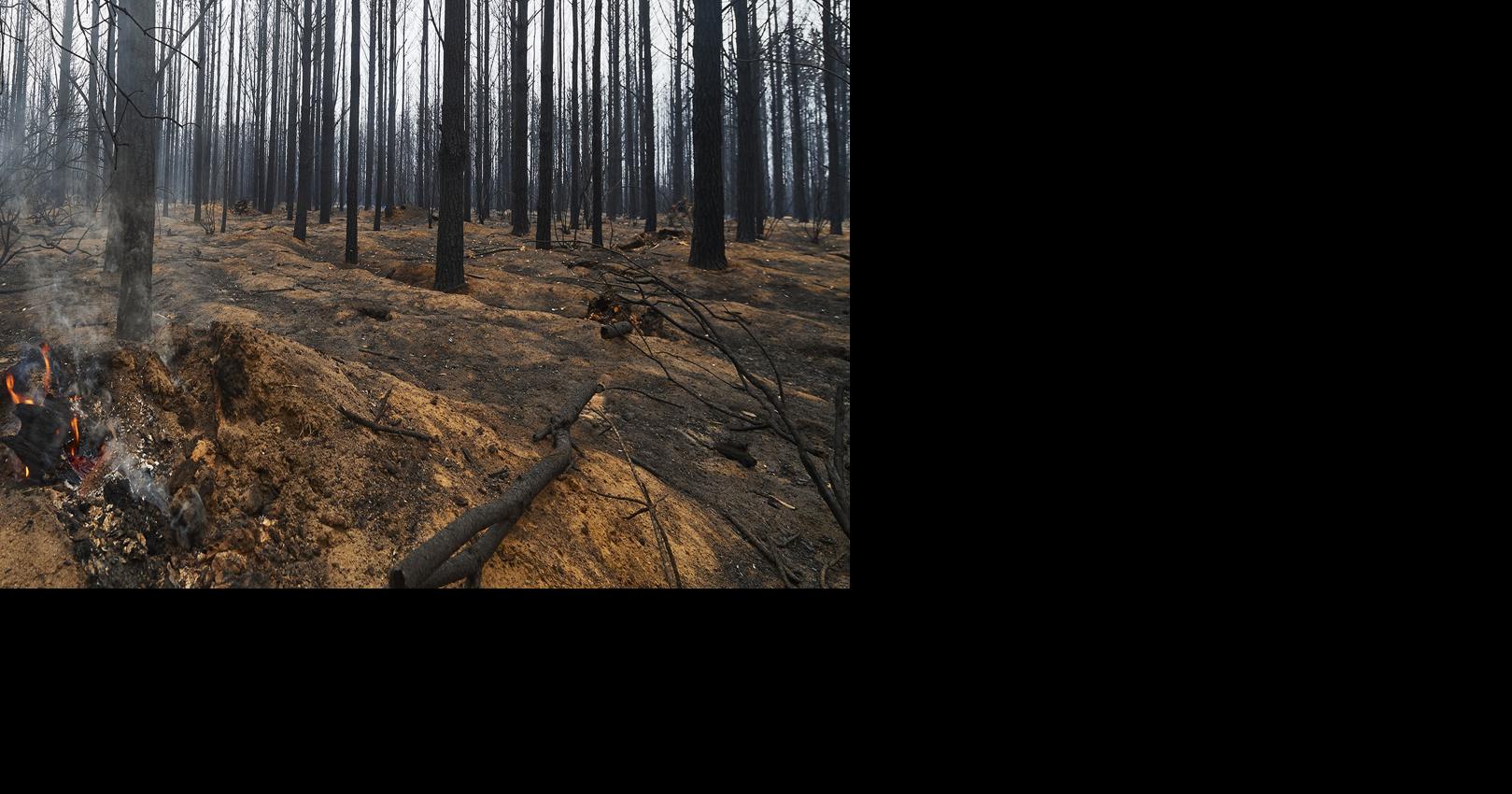 More than climate change is to blame for Australia bushfires