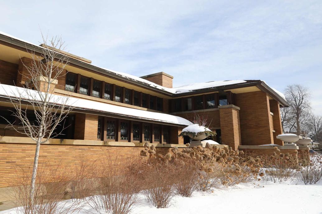 Photos: Tree of Life art glass windows at the Darwin Martin House