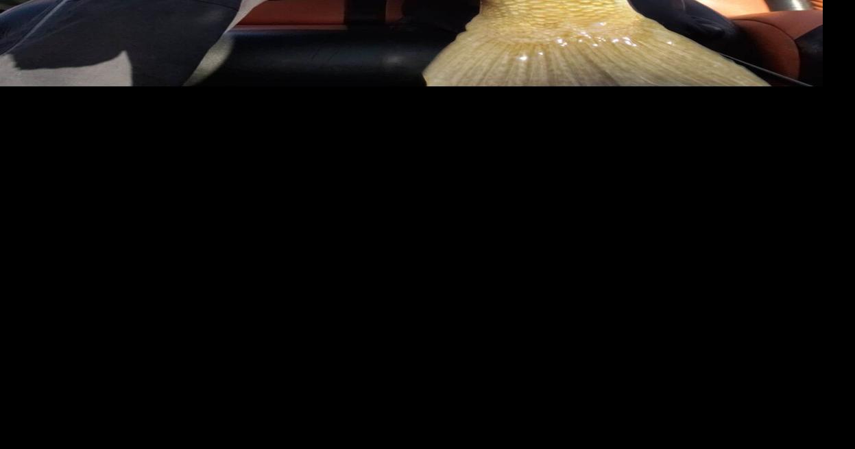 Outdoors calendar: Great Lakes musky season closes on Dec. 15