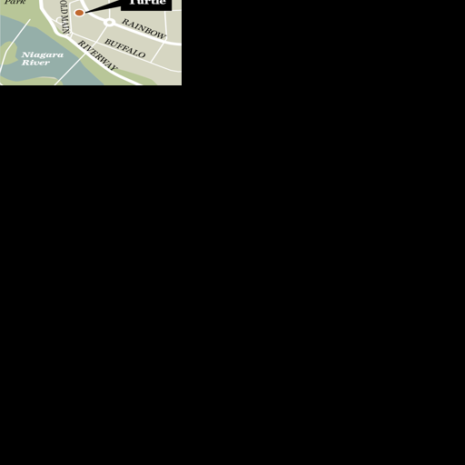 Map of Turtle in Niagara Falls