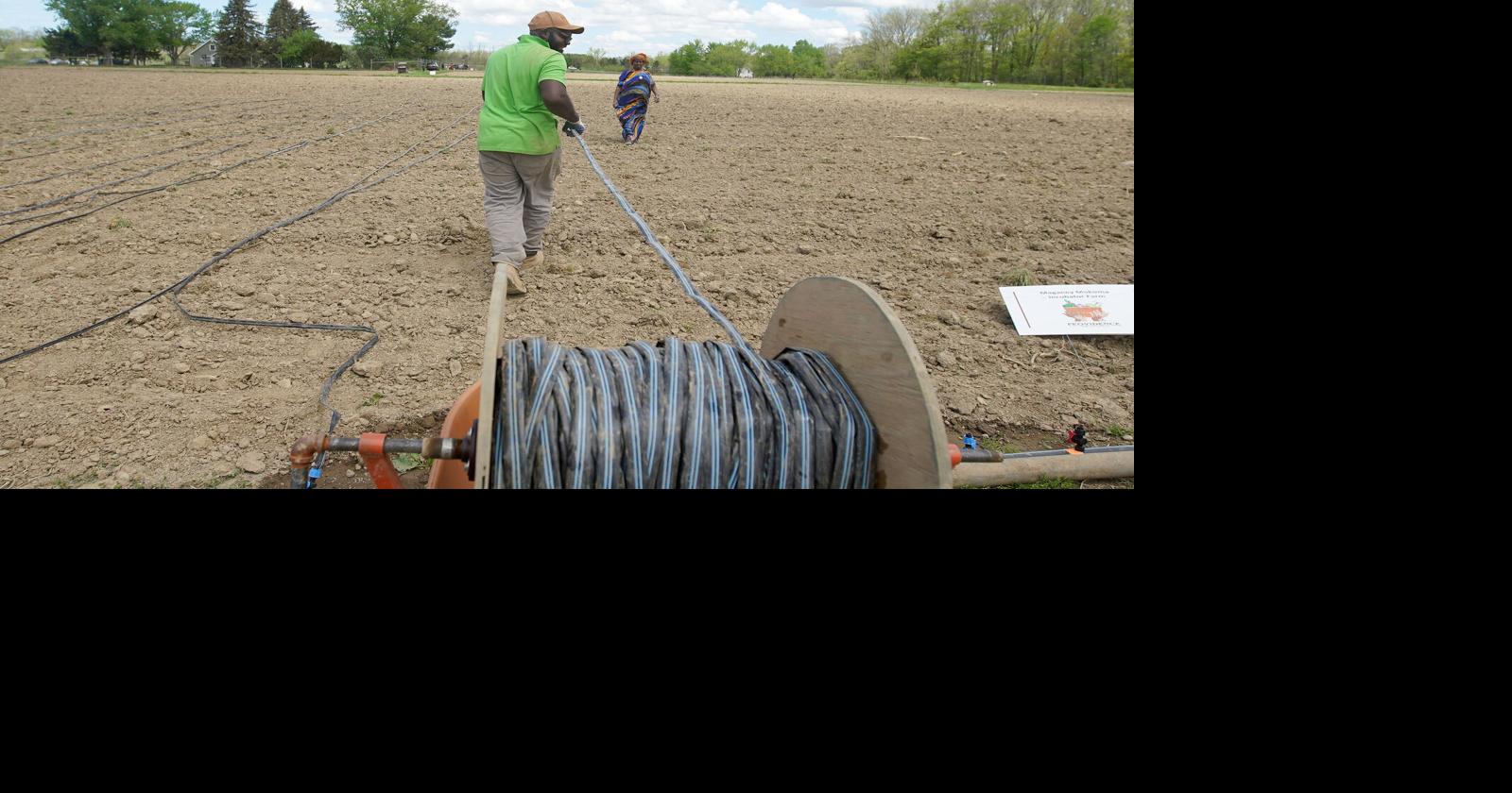 Photos: Providence Farm Collective