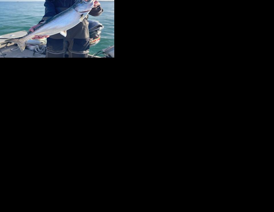 Scattershots: Reporting big game harvest is mandatory. Here is how to do it