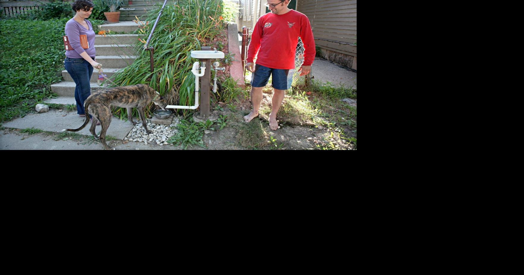 Plumber installs public drinking fountain in his front yard