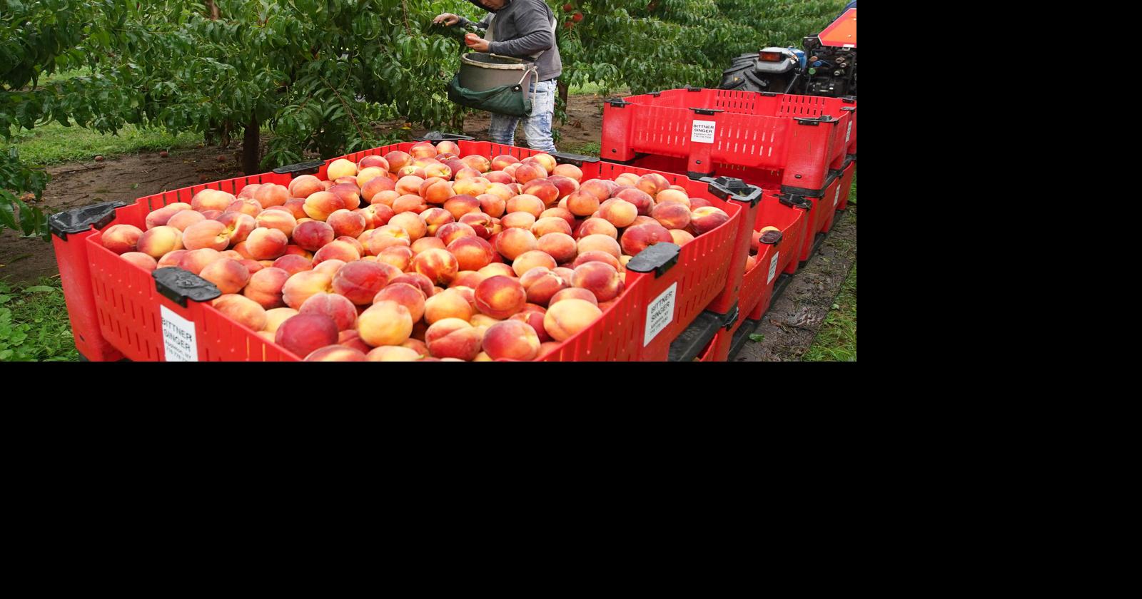 Good Morning, Buffalo: You might have thought this summer was almost ...