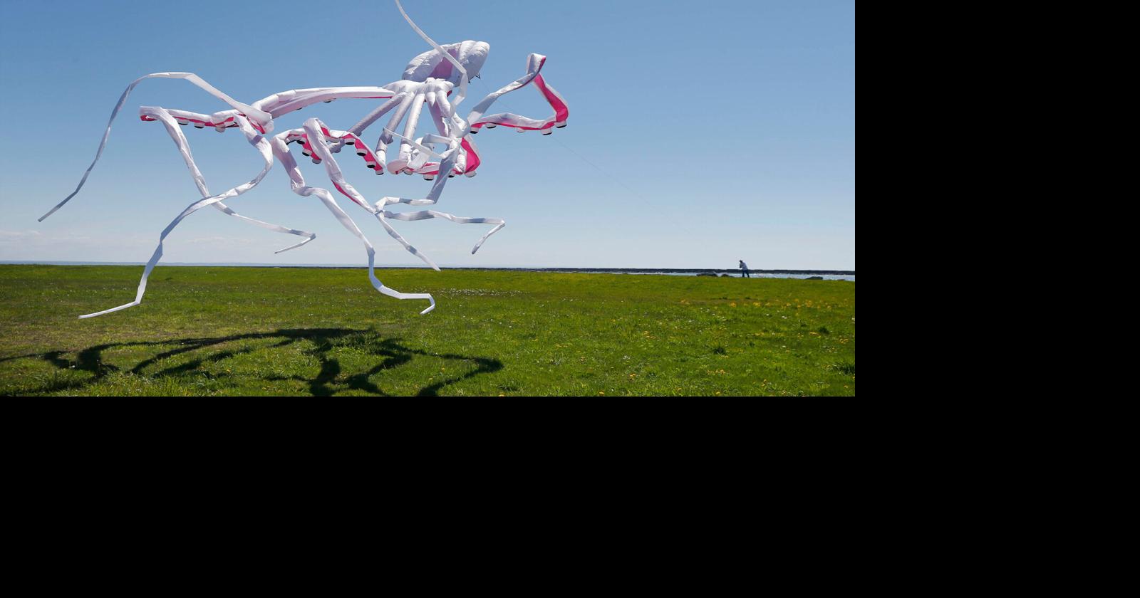 Kite-flying events take to the skies in Western New York