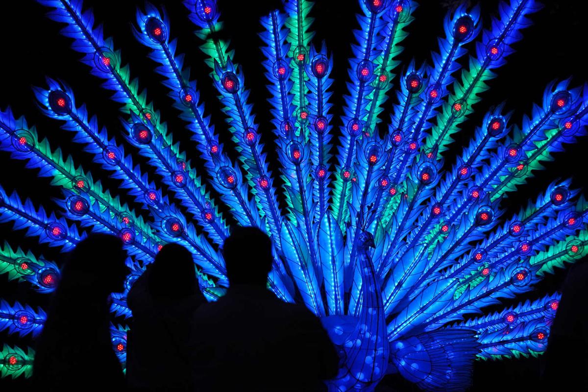 15 Buffalo-area festivals to enjoy in June