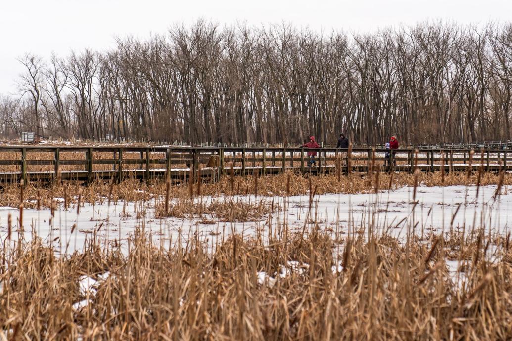 Photos: Tifft Nature Preserve in winter