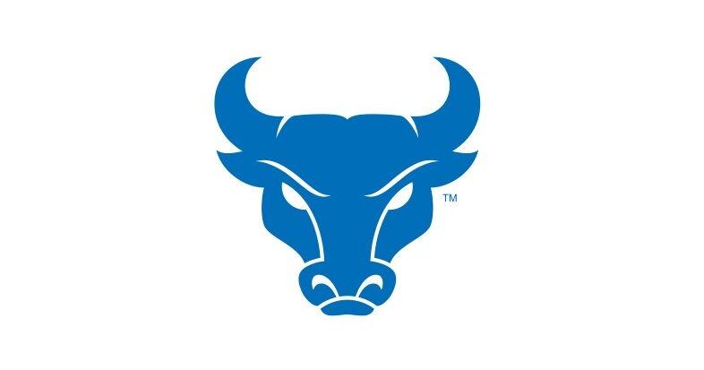 ub bull