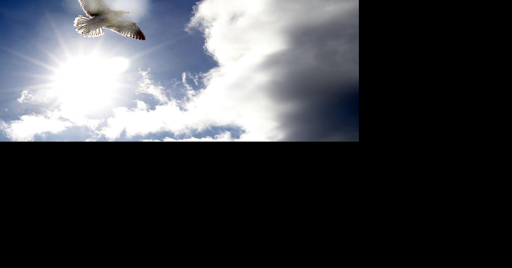 Favorite photographs of 2021 by Robert Kirkham