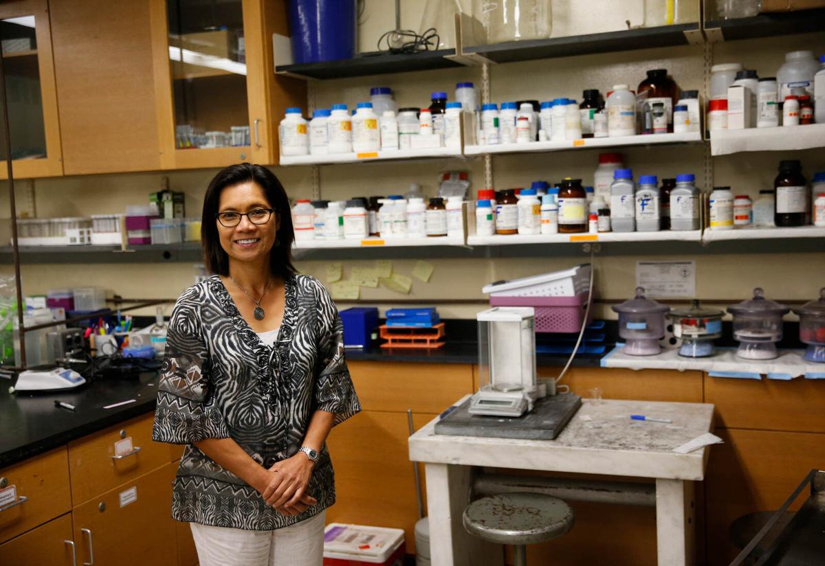 UB’s RENEW Institute lands three federal grants for sustainability research