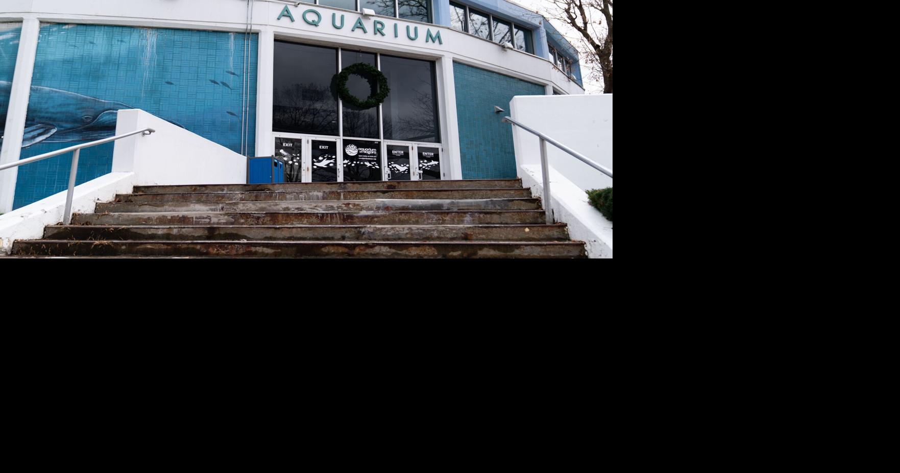 Aquarium of Niagara names Chad Fifer CEO