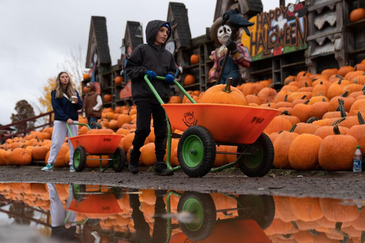 Scary October weekends chilled fall outdoor fun in Buffalo