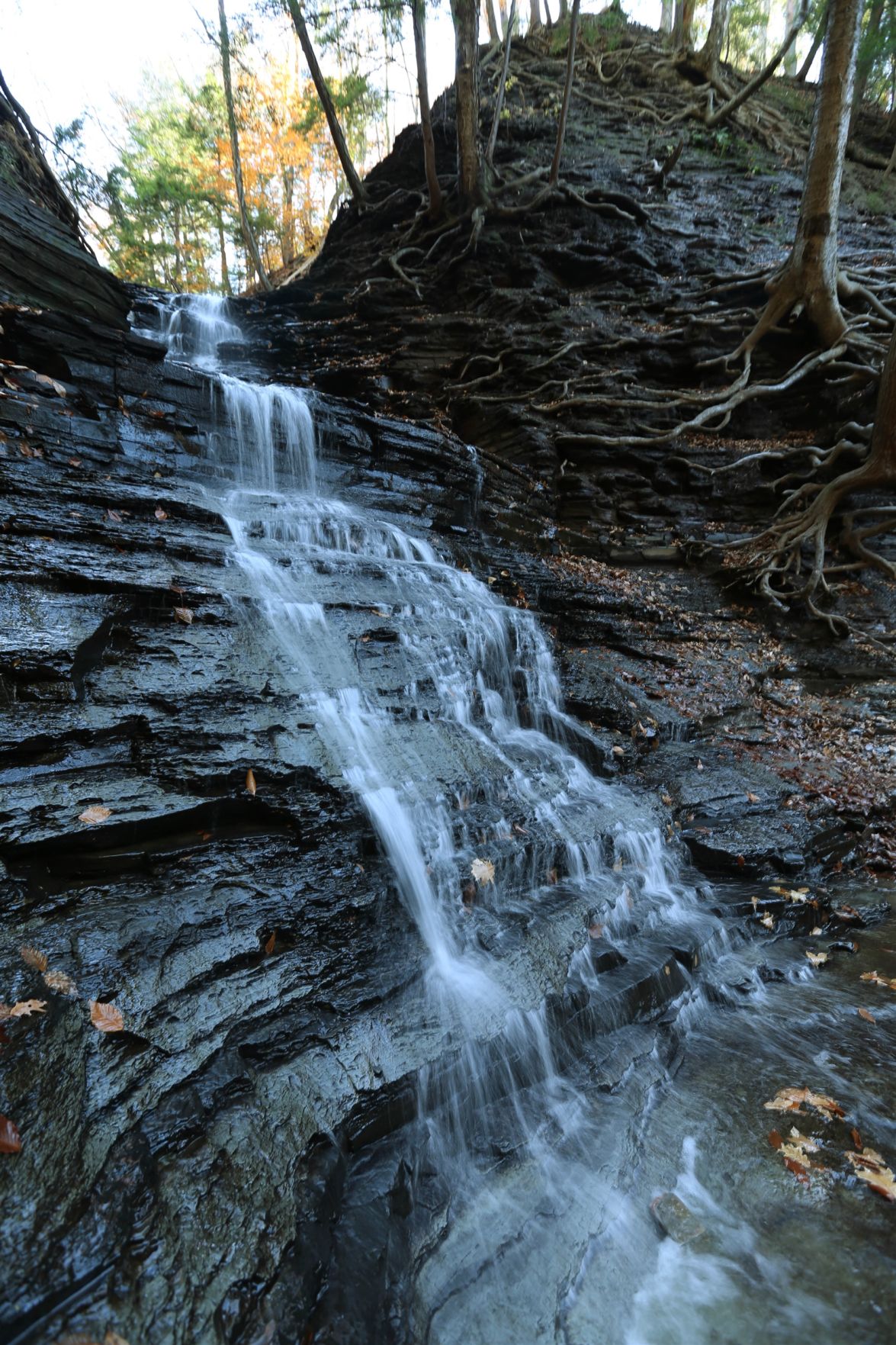 100 things: Visit the Eternal Flame at Chestnut Ridge Park | Multimedia ...