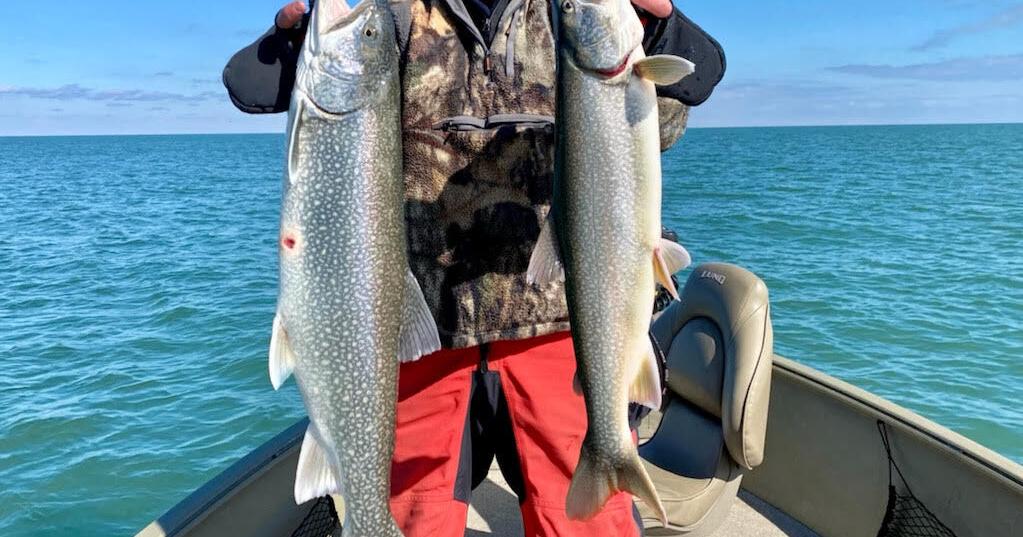 Scattershots: Rainbow trout sampling, Alexander Fishing Flea Market, DEC state archery tourney