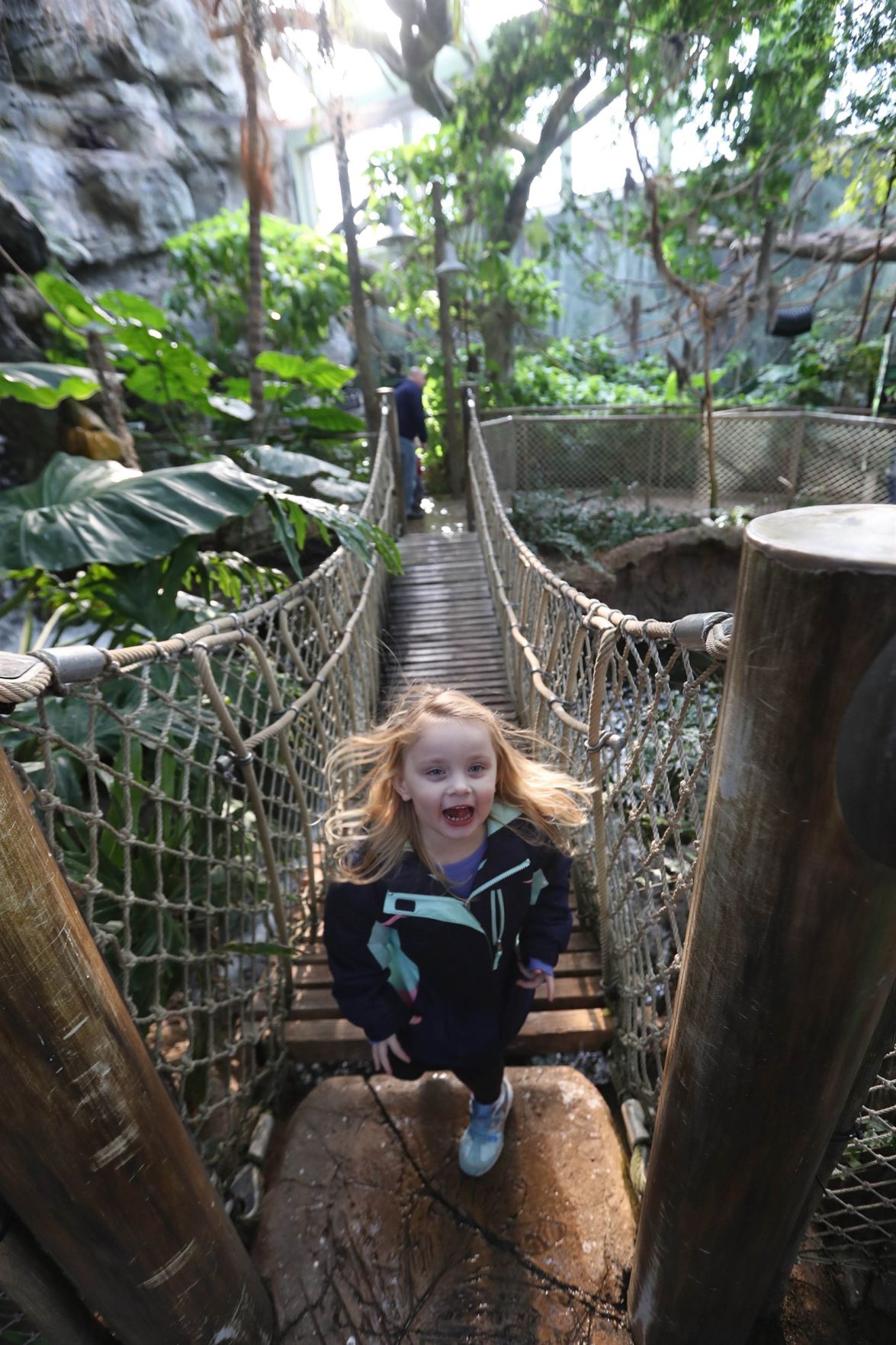 100 Plus Things Brave The Buffalo Zoo In Winter