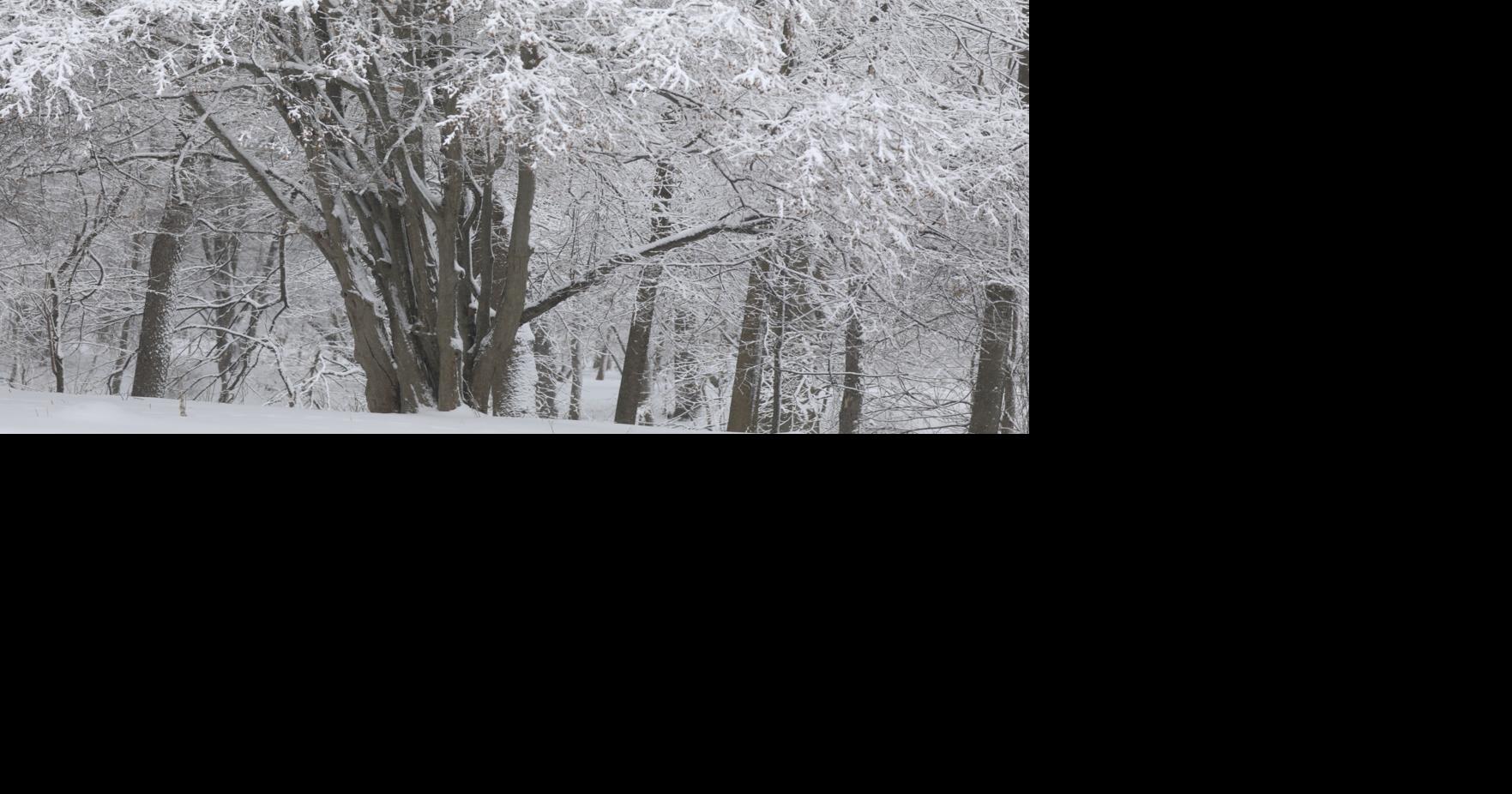 Slick weather advisory issued east of Erie County