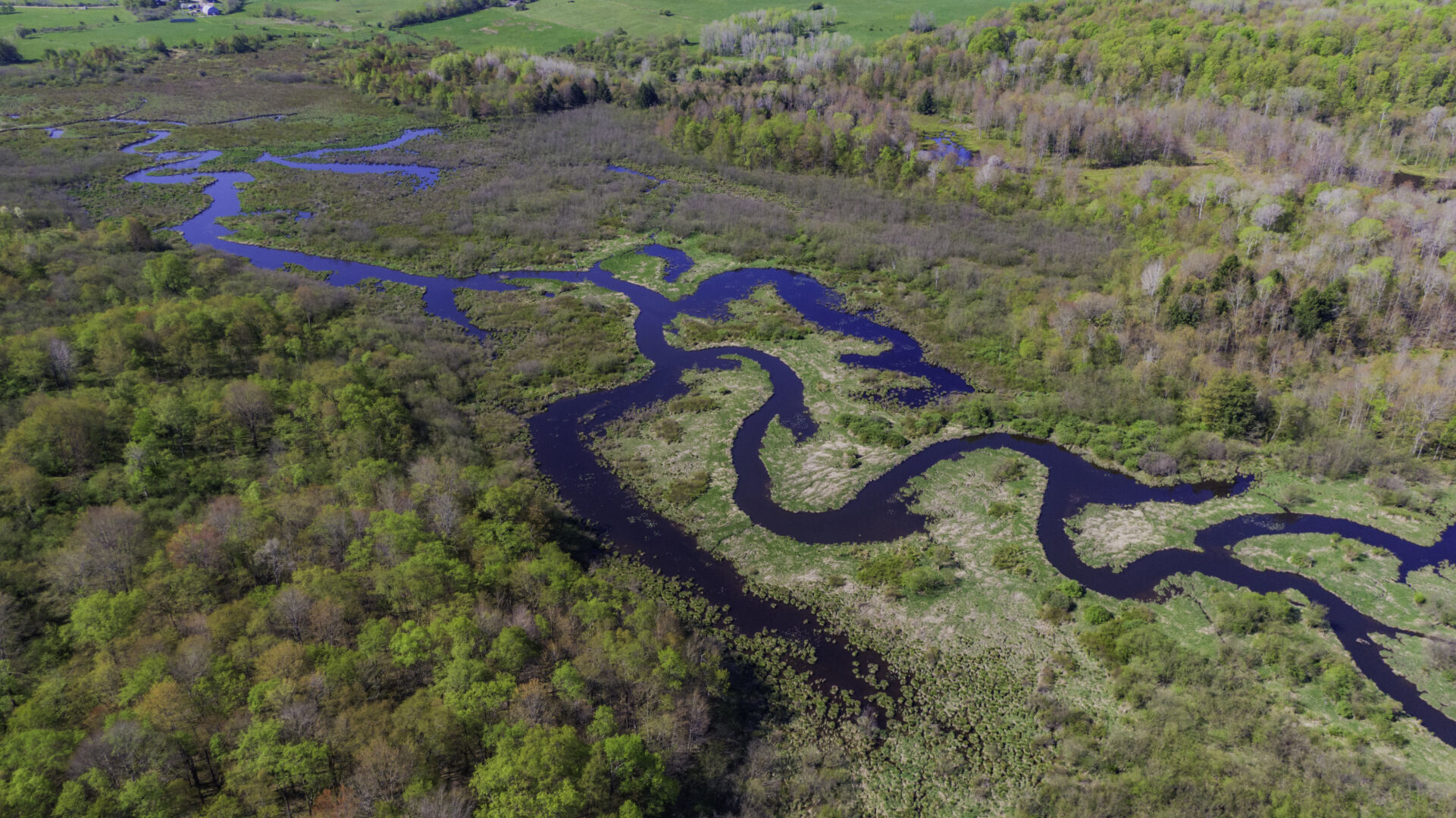 Land trust to protect another 732 acres in WNY