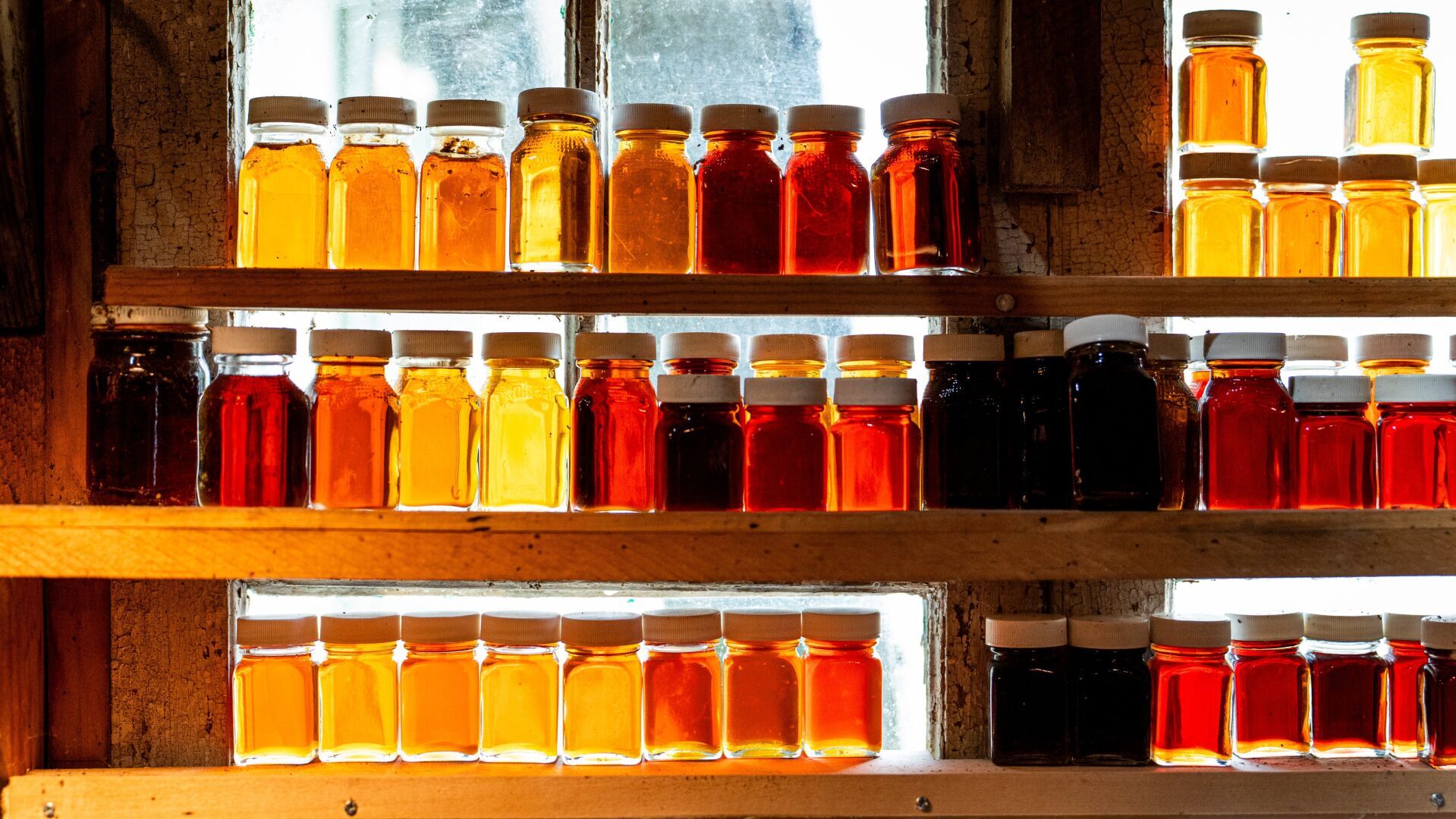 WNY maple syrup industry faces climate change challenges