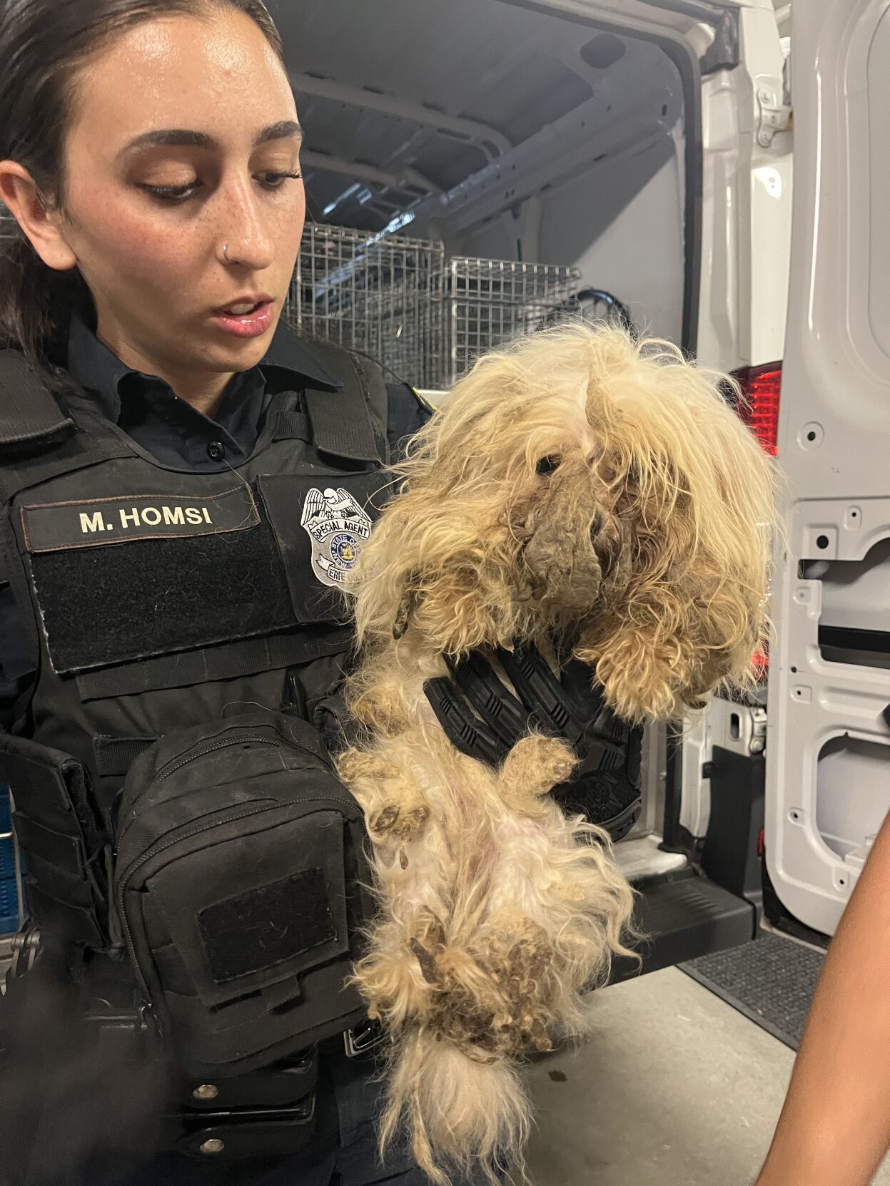 SPCA removes 31 dogs, 3 puppies from Buffalo home