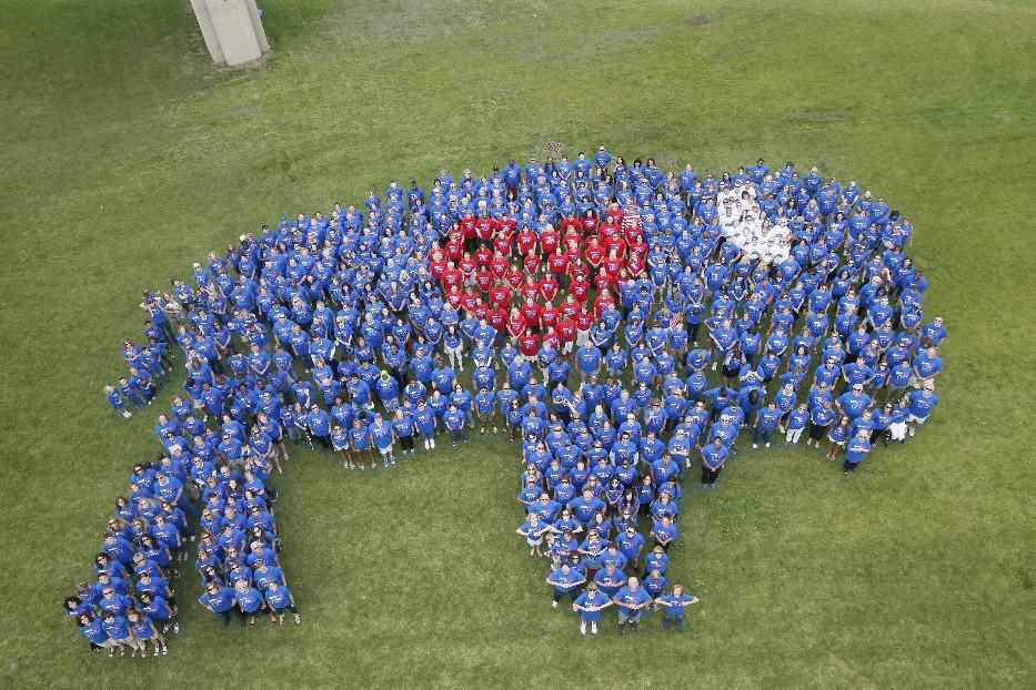 A little Buffalove is ticket to ride off