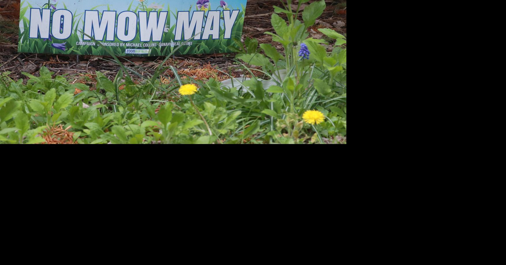 Elizabeth Licata: No Mow May? No thank you