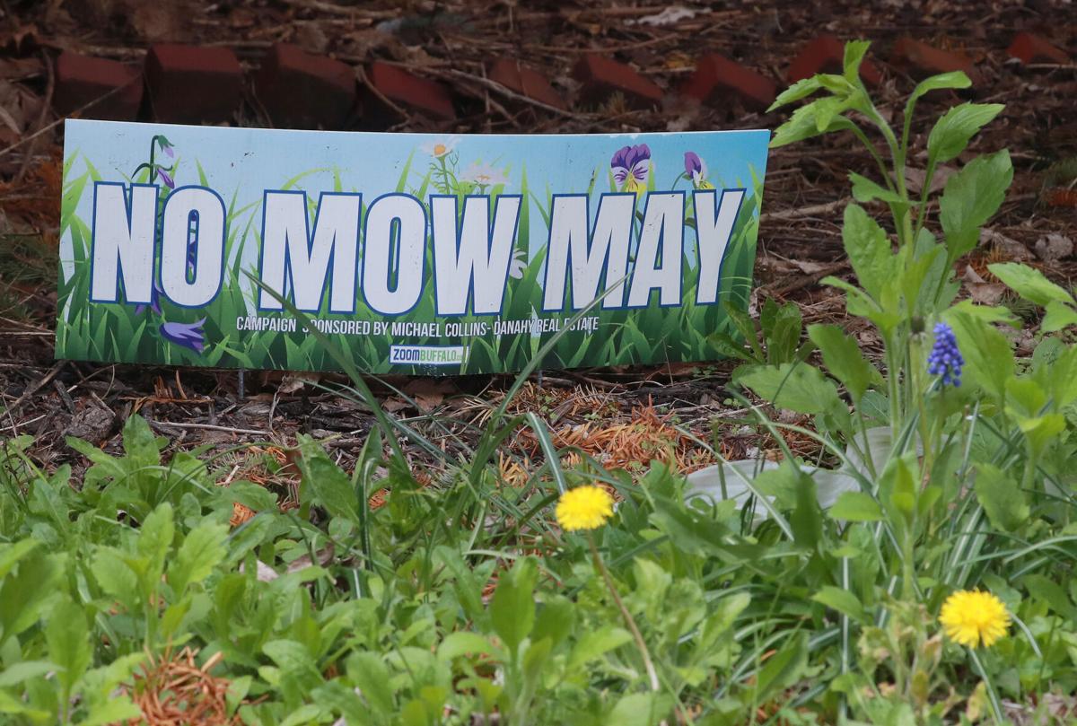 Elizabeth Licata: No Mow May? No thank you