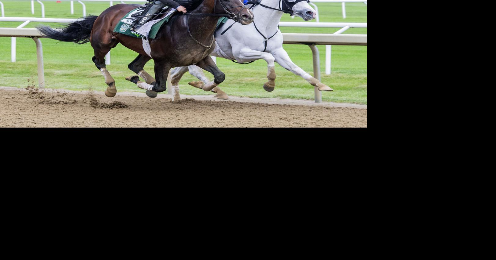 Post Time: Dual classic winner Sovereignty returns in Dandy