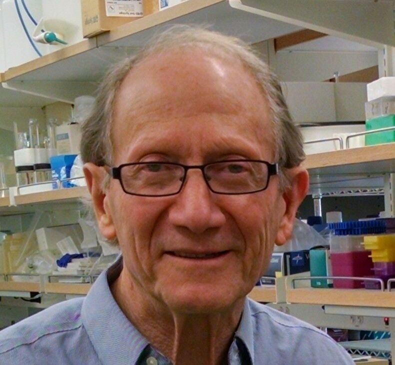 Kindness can work when everything else fails