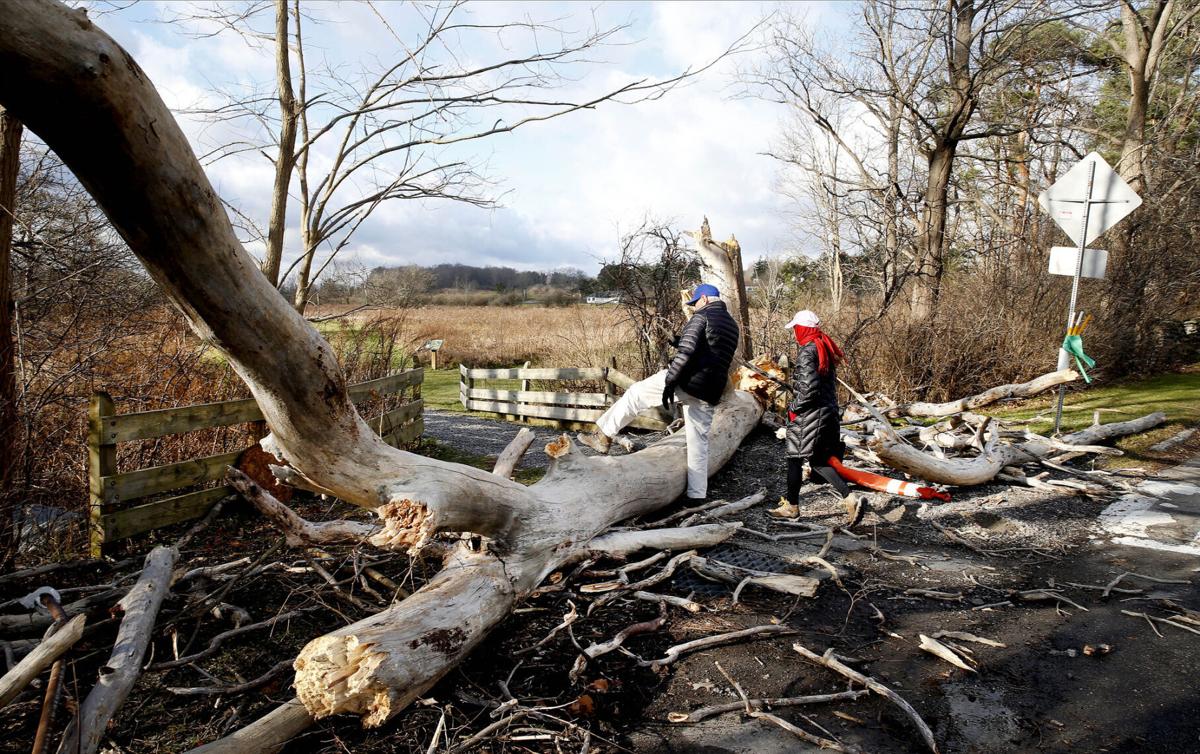 Cleanup continues after fierce, destructive windstorm in Western New York