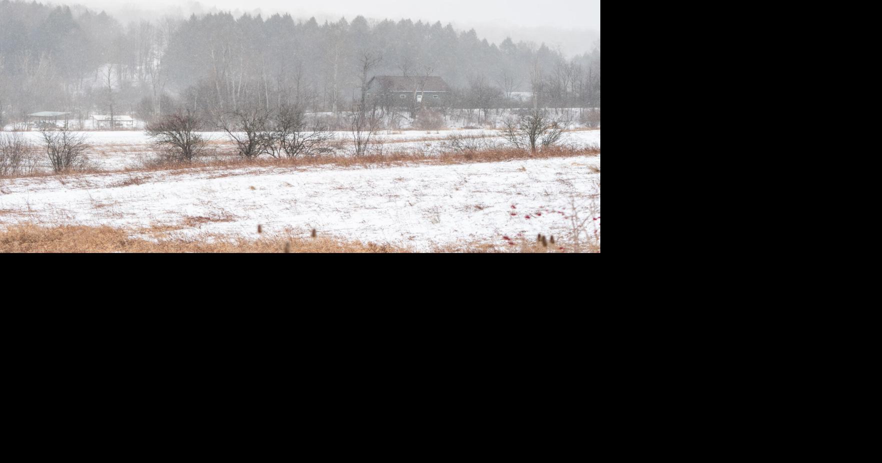 Snow totals across Western New York fall below projections