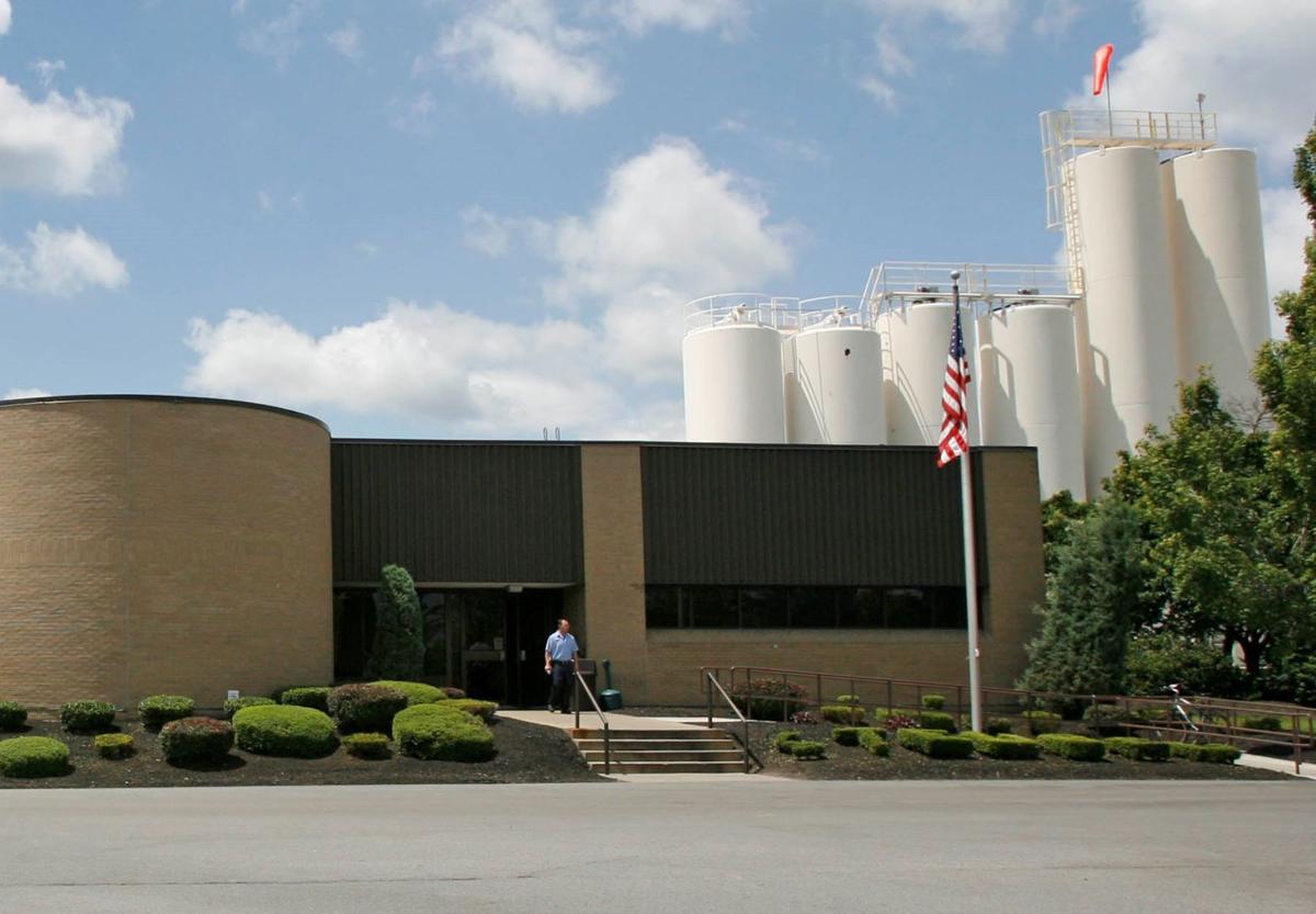 Steuben Foods goes nuts over non-dairy milk