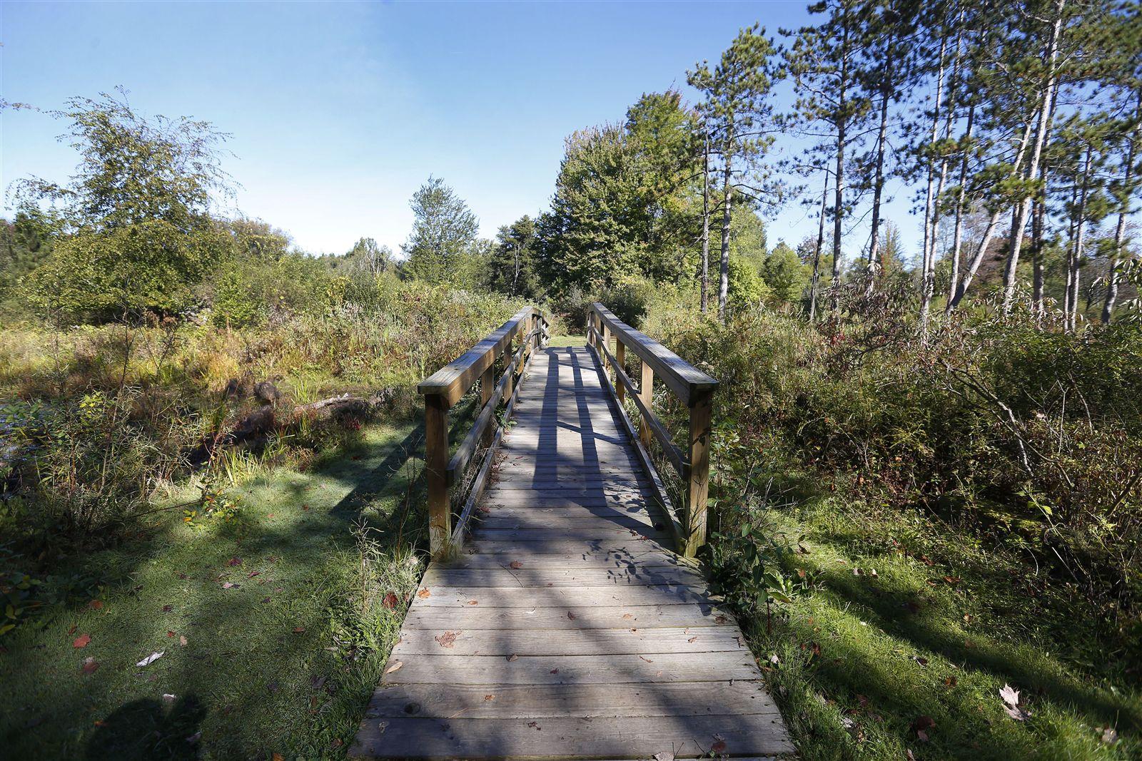 Appreciating a fine fall day in Reinstein Woods Nature Preserve ...