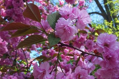 New East Aurora art gallery opens Friday with photography show